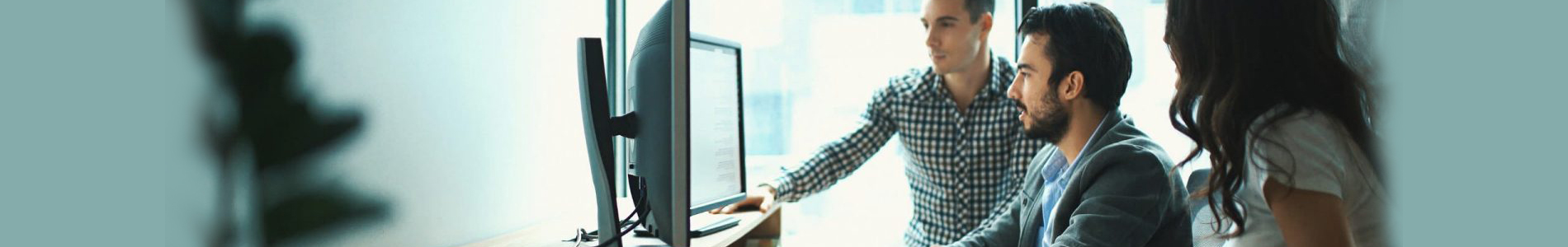 LMB Professional Services